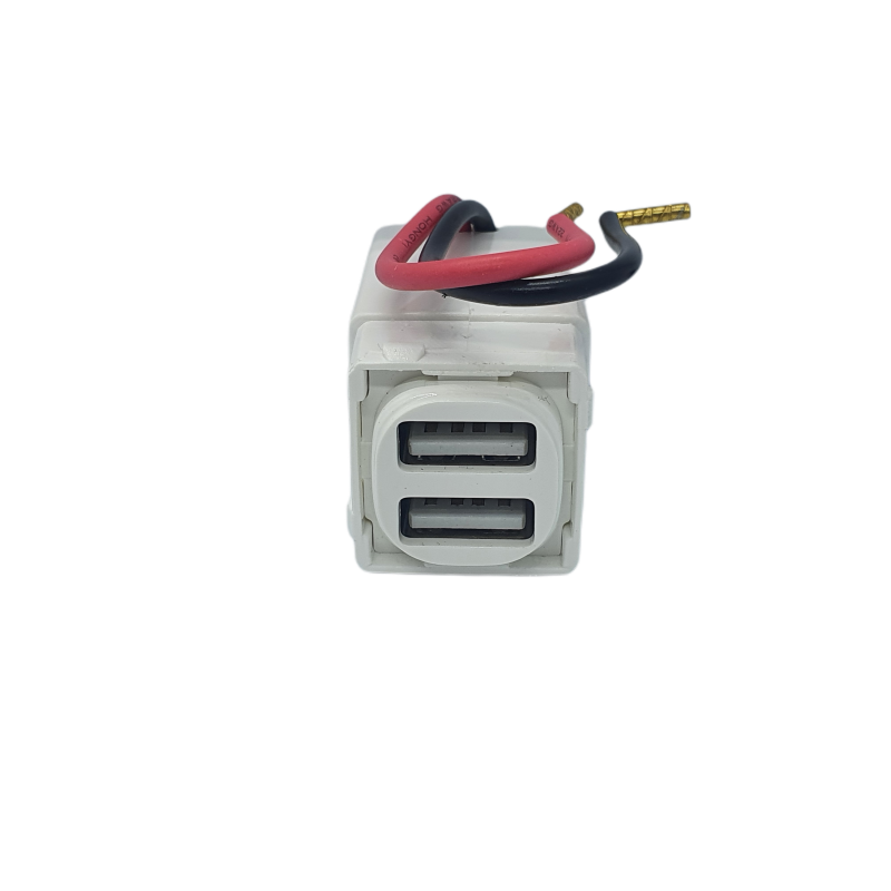 Double USB Mech. 2.1A 30 Series Mechanism Switch Mech – Asthome Smart ...